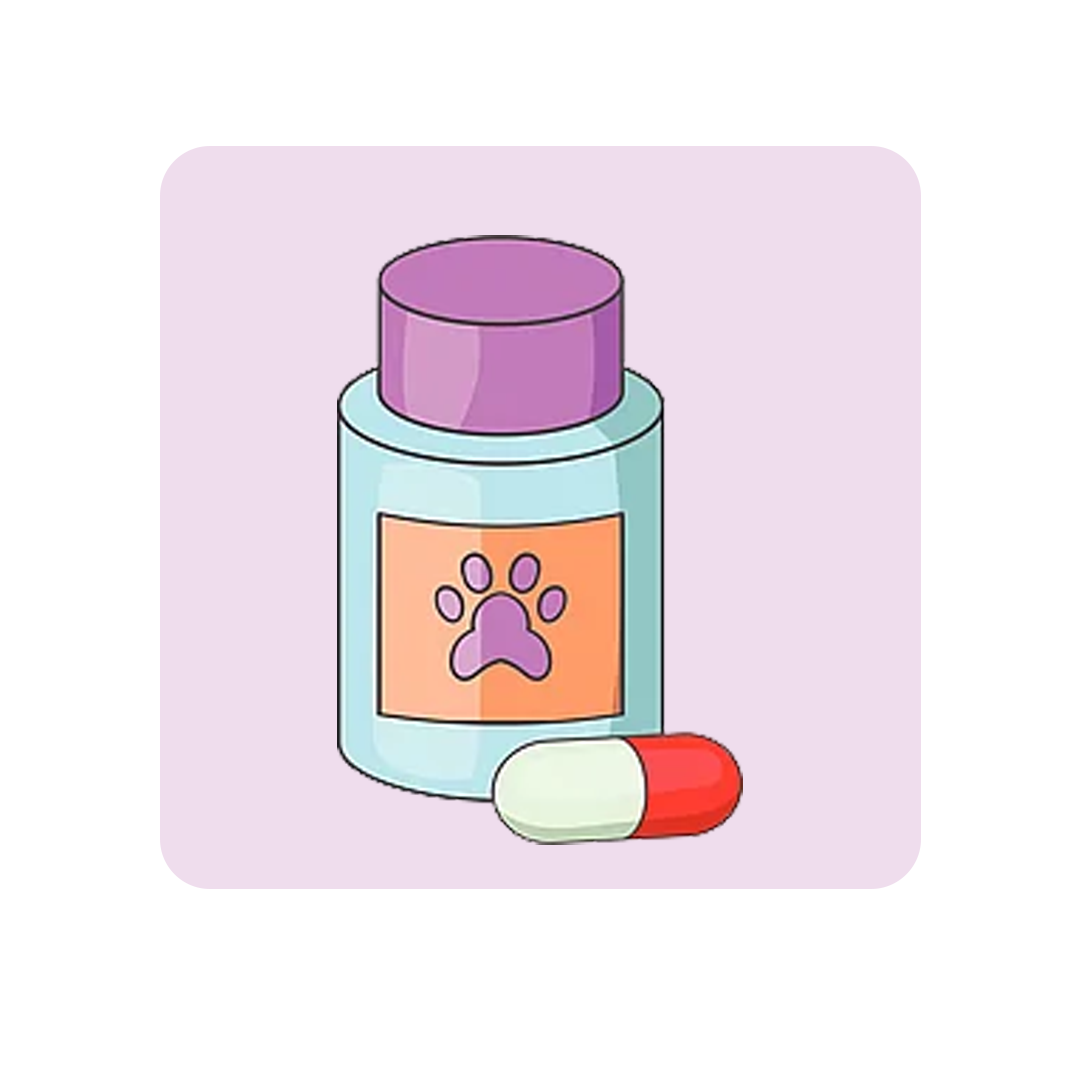PHIL.PAK PHARMA INC. – High Quality Yet Affordable Medicines And ...